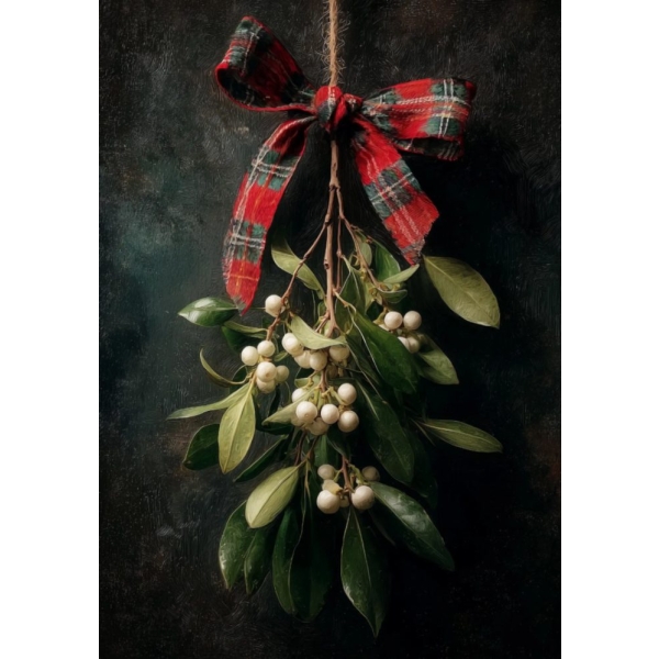 Plakat A3 "Misteltein" - Welcomehome